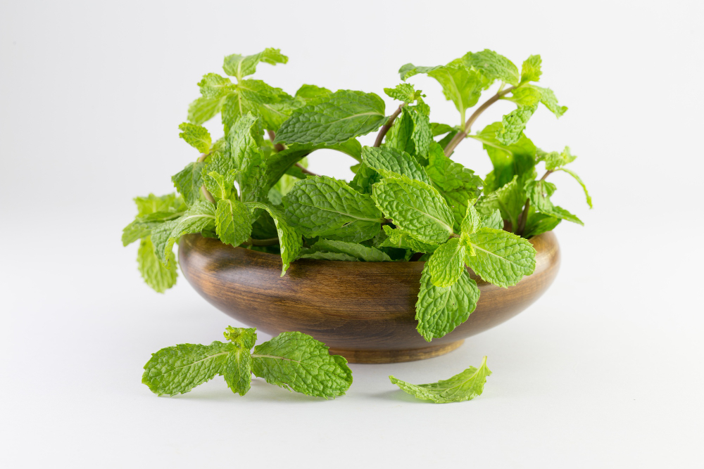 Benefits Peppermint Tea You Should Know - HansCo